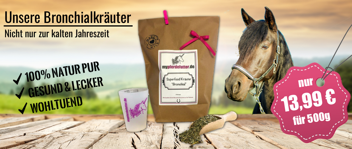 Pferdefutter selbst mixen | Ökologisch und Individuell für Dein Pferd ...