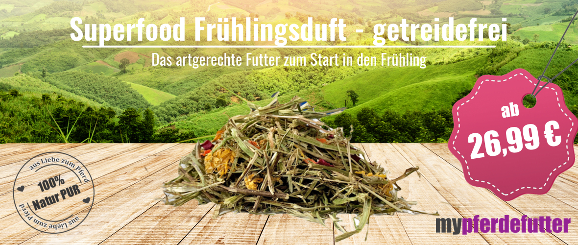 Pferdefutter selbst mixen | Ökologisch und Individuell für Dein Pferd ...